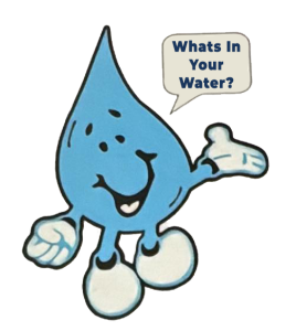 Rainking Systems: Expert Water Purification Systems